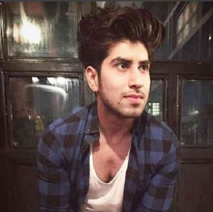 Garv Bajaj Net Worth, Height, Age, Affairs, Bio and More 2024| The ...