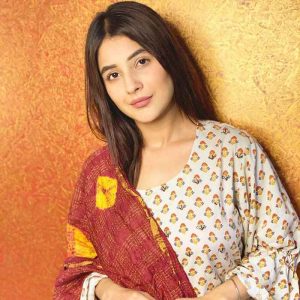 Shehnaz Gill Age, Affairs, Height, Net Worth, Bio and More 2024| The Personage