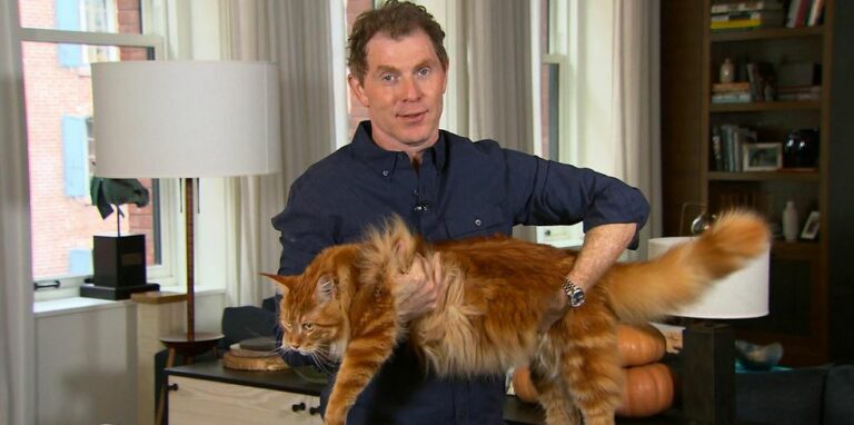 Bobby Flay Age, Net worth: Wife, Weight, Kids, Bio-Wiki 2024| The Personage